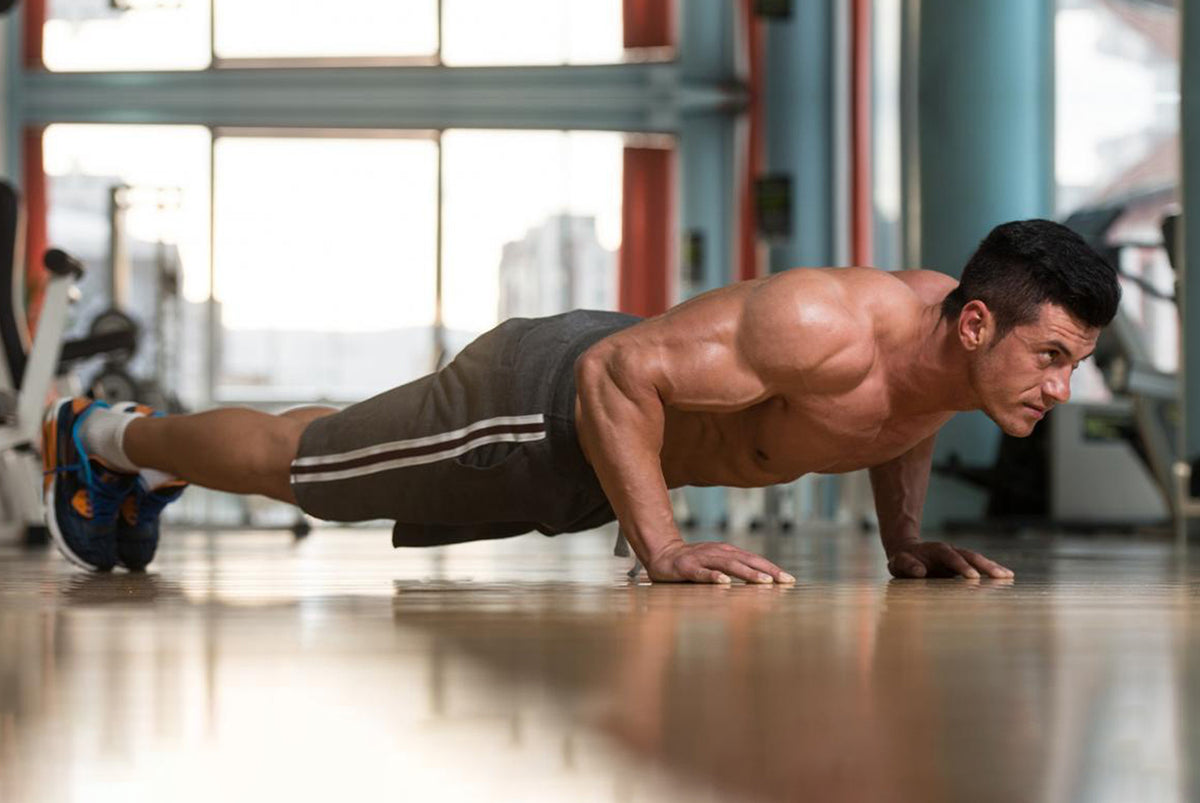 Best Chest Workout Routine for Beginners – Born Tough