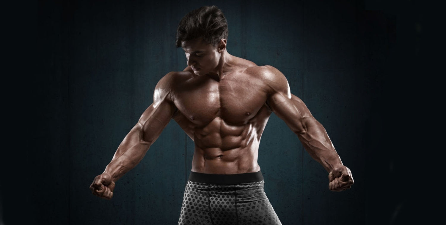 Best Lower Chest Workouts for the Ideal Physique – Born Tough