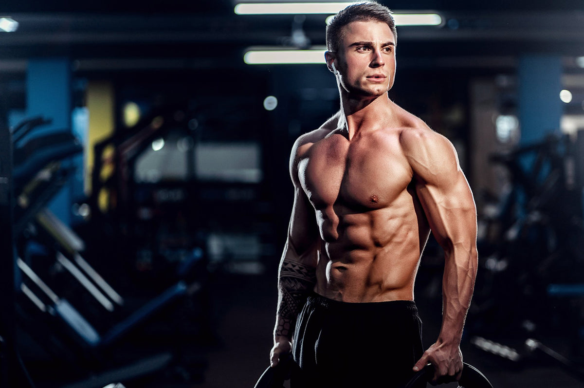 How Much Muscle You Can Gain Naturally – Born Tough