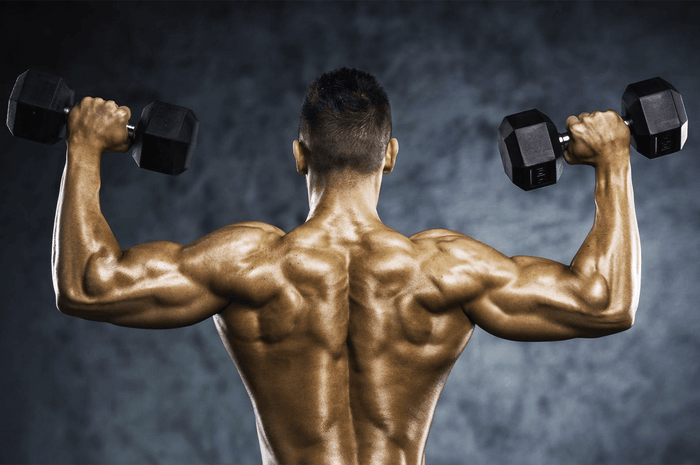 What are the 6 Benefits of Dumbbell Reverse Flys - Form & Variations ...