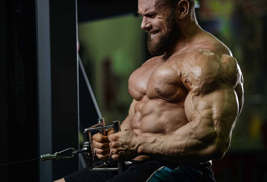 Why Muscle Density Matters & How To Build It – Born Tough